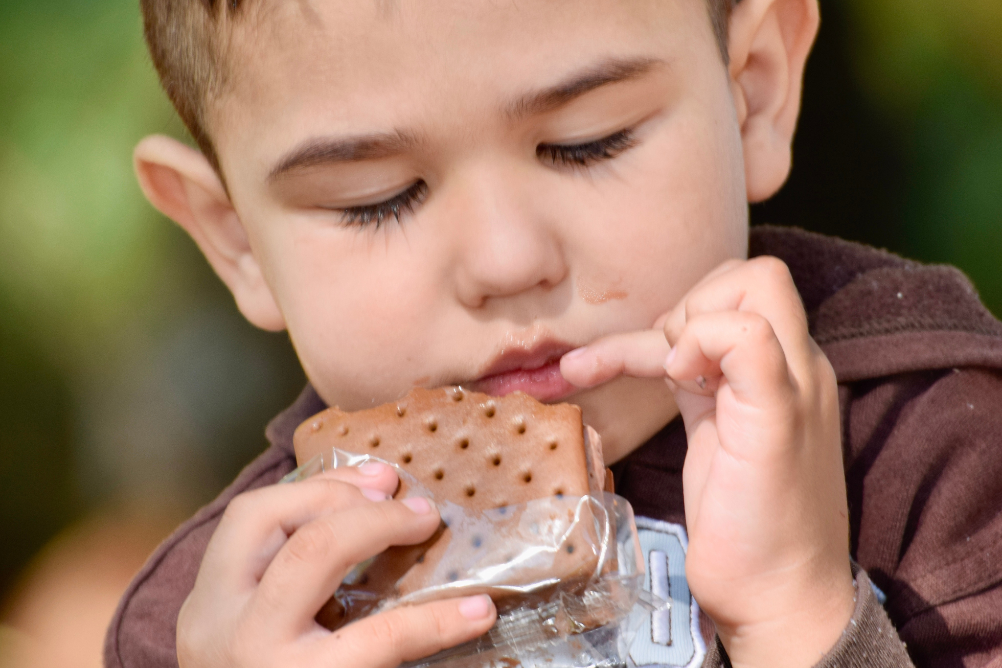 Helado Mio – En Helado Mío creamos helados nutritivos con ingredientes ...